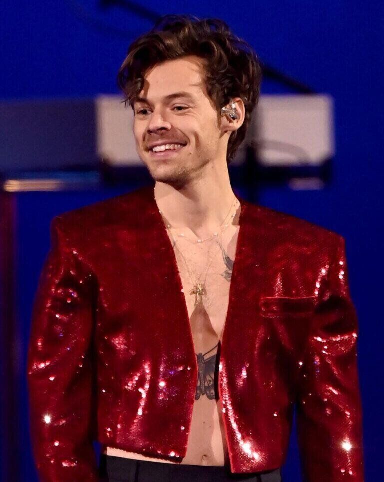 Pop star Harry Styles is coming back in 2026